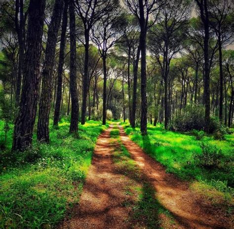 Día Internacional de las Reservas de la Biosfera