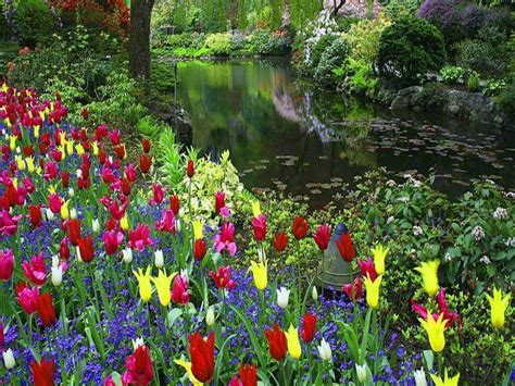 Free Spring Backgrounds Desktop Wallpaper Cave