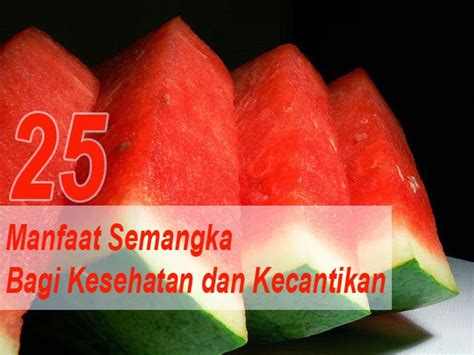 25 Manfaat Semangka Bagi Kesehatan Dan Kecantikan Inkesehatan