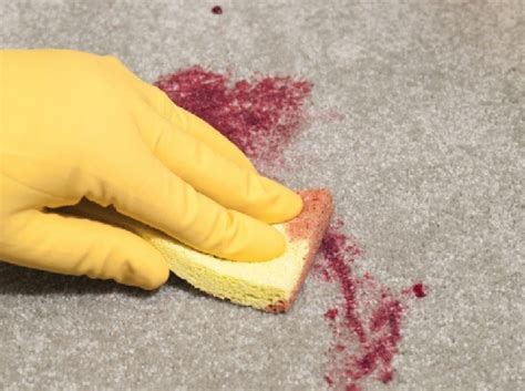 4 Common Carpet Stains And How To Clean Them Blog