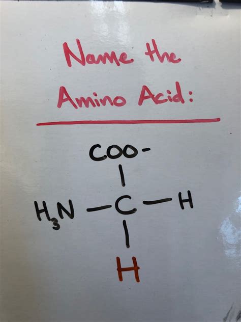 Non Polar Amino Acids Flashcards Memorang