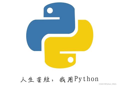 一篇文章搞定python多进程（这才是正确的python多进程的打开方式） python分进程打开文件 csdn博客