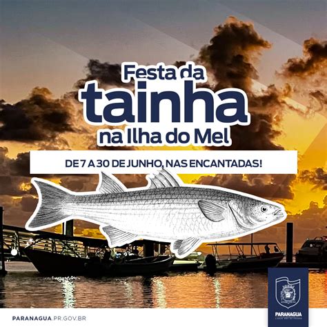 Vem Ai A Festa Da Tainha Na Ilha Do Mel Ilha Do Mel Ilha Do Mel