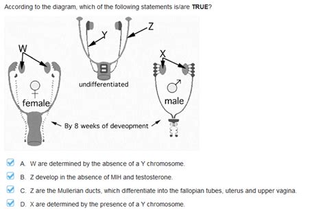 Ws Biol Quiz Diagram Quizlet