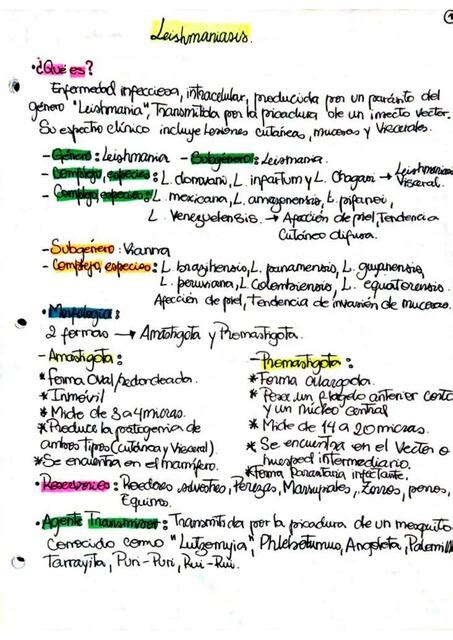 Leishmaniasis Medicina Óptima uDocz