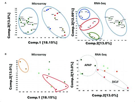 Rna Seq Pca
