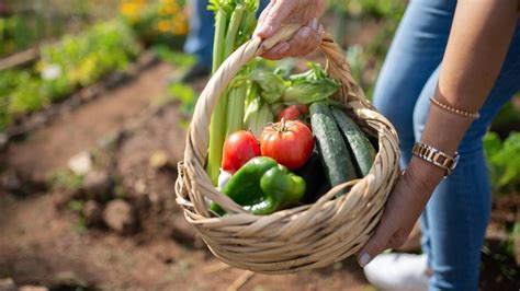 Agricultura Urbana O Que Veja Como Cultivar Na Cidade Incr Vel
