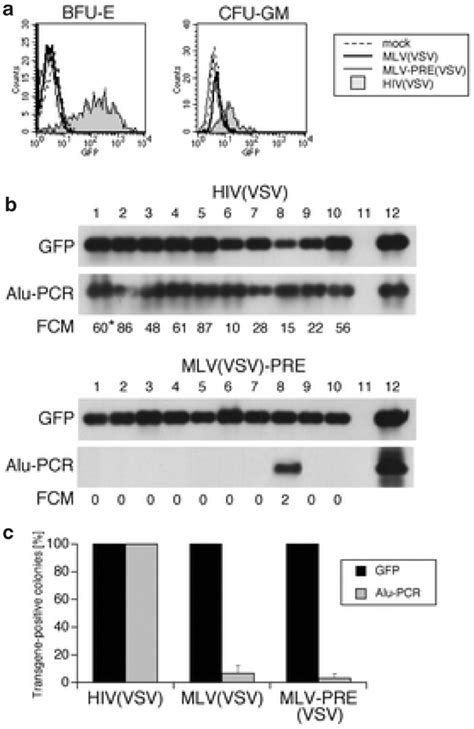 Gene Transduction And Integration Efficiencies Of Hiv And Mlv Vectors