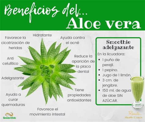 Beneficios Del Aloe Vera Bienestar Infinito