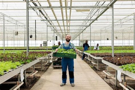 Traditional Farming Vs Modern Farming Exploring The Differences In