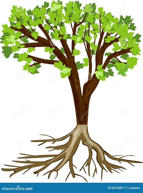 Tree With Green Leaves And Roots Stock Vector Illustration Of Biology