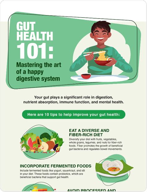 Gut Health 101 Mastering The Art Of A Happy Digestive System Prohance