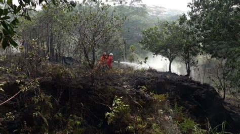 Foto Intip Cara Pertamina EP Bantu Atasi Darurat Kebakaran Hutan