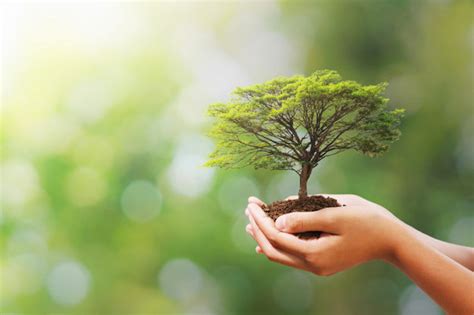 Día Mundial de Protección de la Naturaleza Por qué se celebra el 18