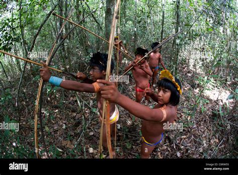 Xingu Indians Hunting In The Amazone Brazil Stock Photo Alamy
