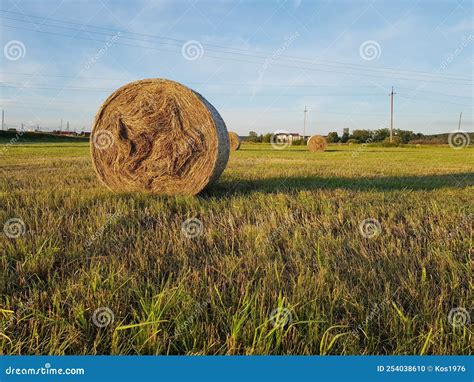 Rollos De Heno En Un Campo Verde Foto De Archivo Imagen De Alto Nube