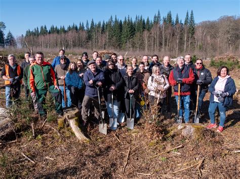 Aufforstungsprojekt Zweiter Baumpflanztag Im Forstrevier HWG Wald NR