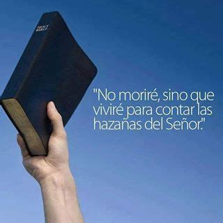 Cómo se revela Cristo Jesús en cada libro de la Biblia INFOGRAFÍAS
