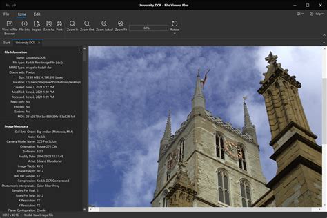 Open DCR Files With File Viewer Plus