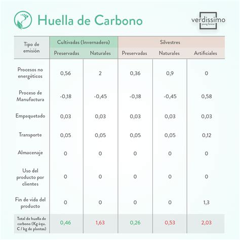 cebolla Loza de barro Autorización ejemplo calculo huella de carbono