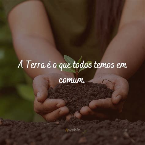 72 Frases Para O Dia Do Meio Ambiente Para Conscientizar