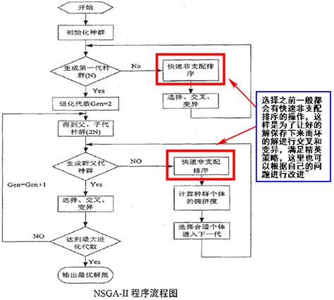 nsga ii入门