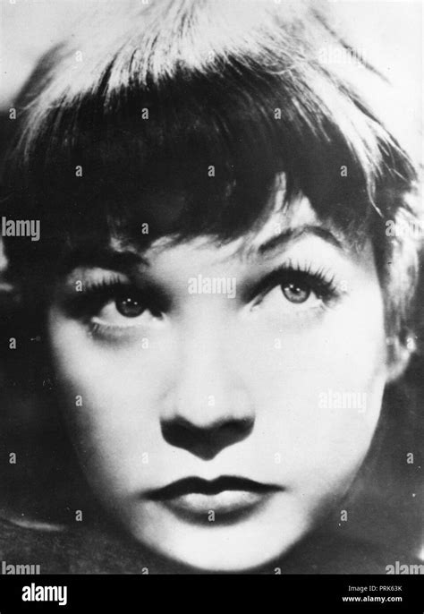 Maclaine Hi Res Stock Photography And Images Alamy