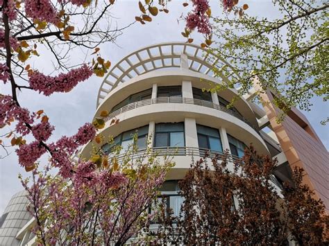 Study In China On Twitter No Matter Which Season You Choose To Come
