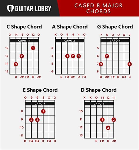 B Guitar Chord Guide 9 Variations How To Play Guitar Lobby