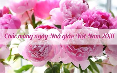 Hướng dẫn cách viết thiệp chúc mừng 20 11 đầy ý nghĩa cho ngày nhà giáo