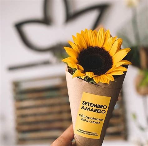 Girassol Setembro Amarelo Girassol