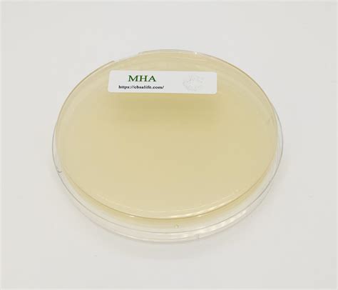 Mueller Hinton Agar CBSAlife