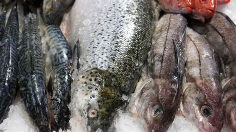 Cómo reconocer el pescado fresco Tienda Grupo Dagustin