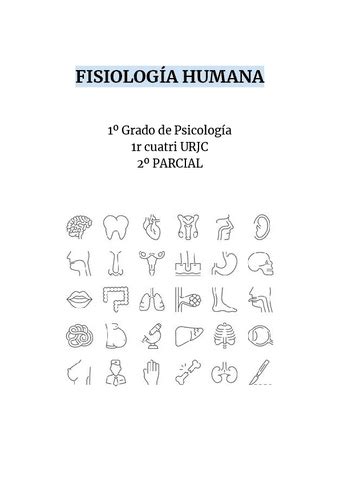 FISIOLOGIA HUMANA SEGUNDO PARCIAL BLOQUE 1 TEMAS 17 18 19 Pdf
