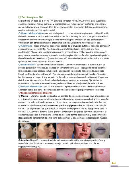 Semiolog A Lesiones Elementales De Piel Welbert Almeida Leite Udocz