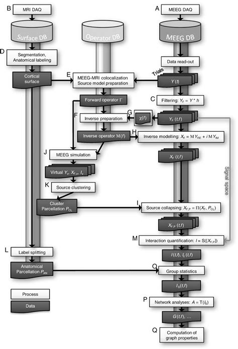 figure 1 from graph properties of synchronized cortical networks during visual working memory