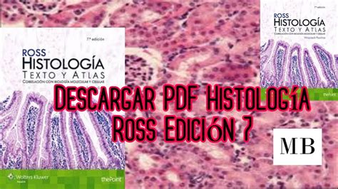 Descargar PDF Histología Ross Edición 7 Medicina Brothers YouTube