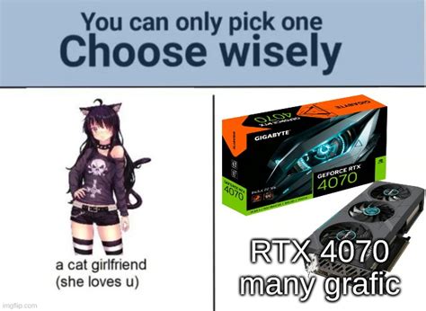 Wisely Choose Imgflip