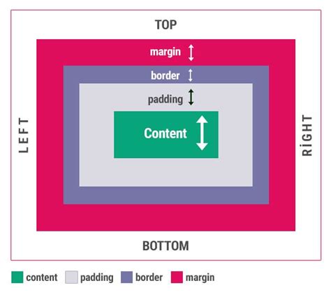 CSS Box Model CSS Kutu Modeli