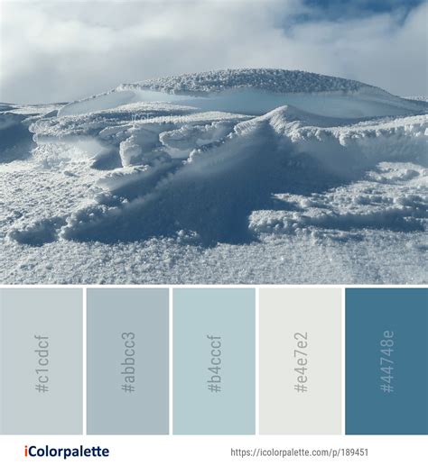 Color Palette Ideas From Winter Images Icolorpalette Winter