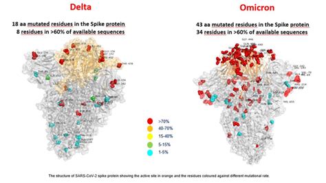 El mapa de las mutaciones de la variante ómicron que preocupa a los