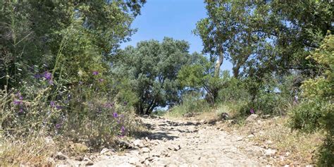 The Maures Mountain Range On The Outskirts Of The Village Charm Of