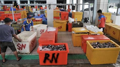 UU Cipta Kerja Beri Kemudahan Perizinan Pelaku Usaha Pengolahan Ikan