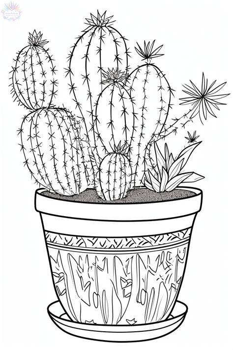 Cacto Para Colorir De 25 Desenhos Para Imprimir E Pintar