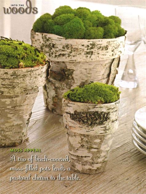 12 Super Easy Birch Bark Crafts Pickled Barrel