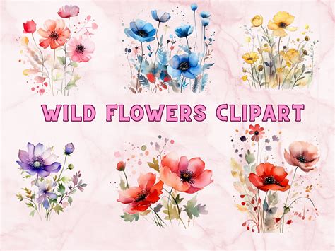 25 PNG Wild Flowers Watercolor Clipart Wild Flowers Clipart Etsy