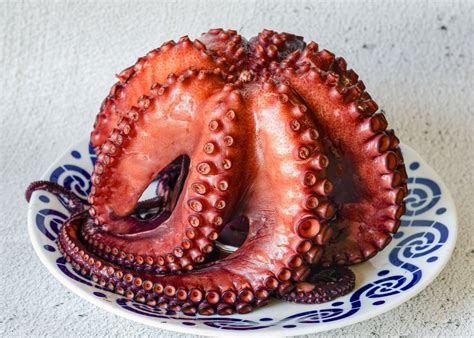 Temperatura Ideal Para Cocinar El Pulpo Gu A Completa