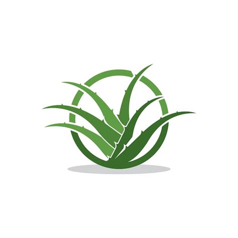 Premium Vector Aloe Vera Logo Icon Design Symbol Beauty