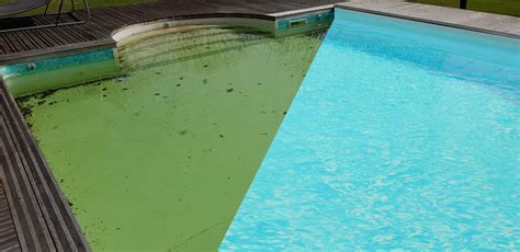 Pourquoi L Eau De Ma Piscine Est Trouble Maison Tradi