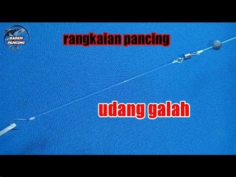 Cara Membuat Rangkaian Pancing Udang Galah Youtube